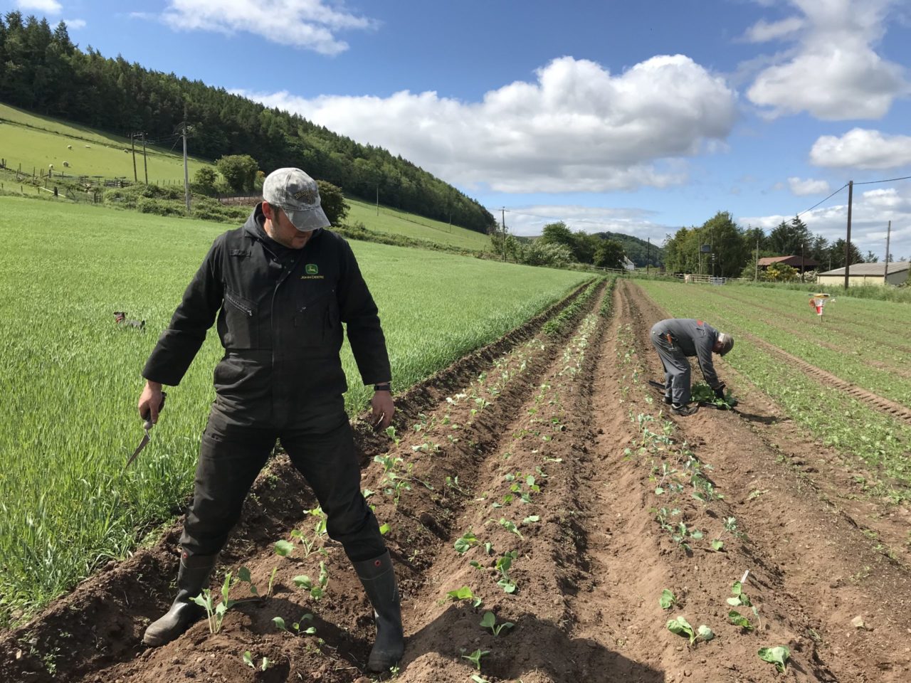 Our Story - The Snug at Logie Farm