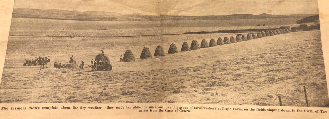 About Logie Farm - The Snug at Logie Farm