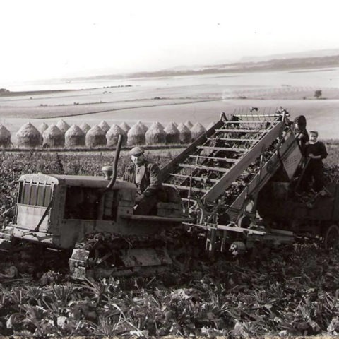 About Logie Farm - The Snug at Logie Farm